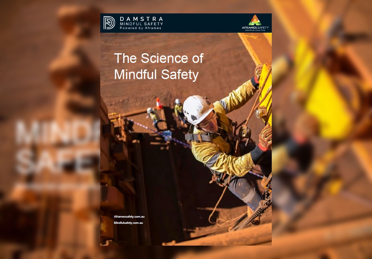Damstra Mindful Safety - Damstra Technology
